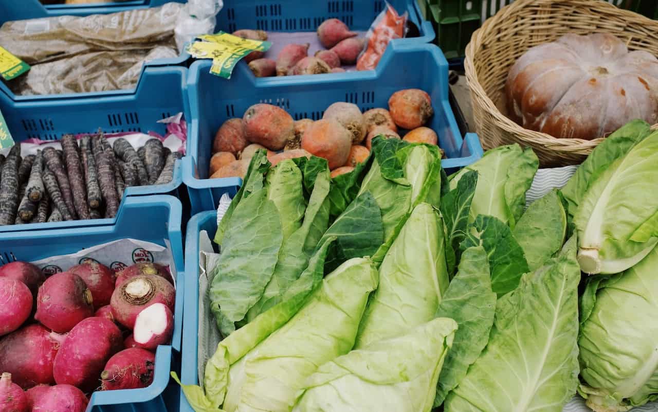 How important is it to maintain good nutrition if you work as a cook ...